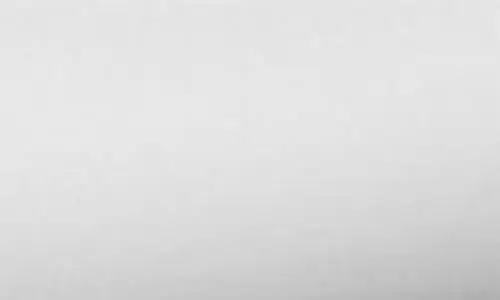 ALL-CLAD D3 Pro 10-inch Nonstick Fry Pan - Silver