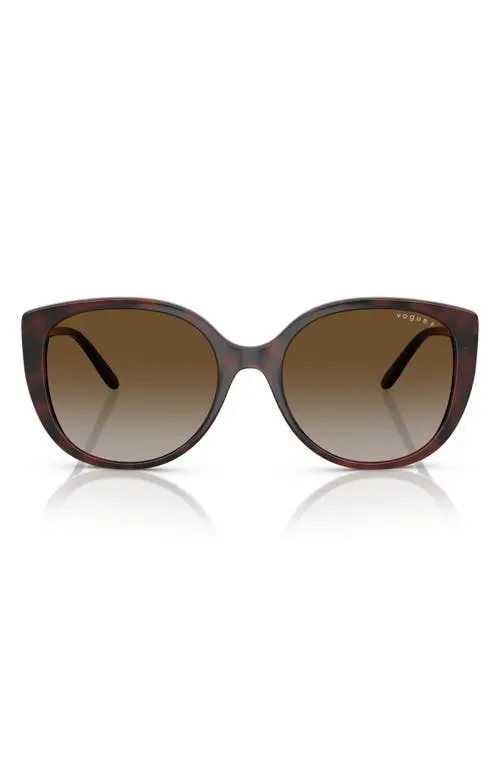 VOGUE 55mm Polarized Gradient Butterfly Sunglasses - Dark Havana