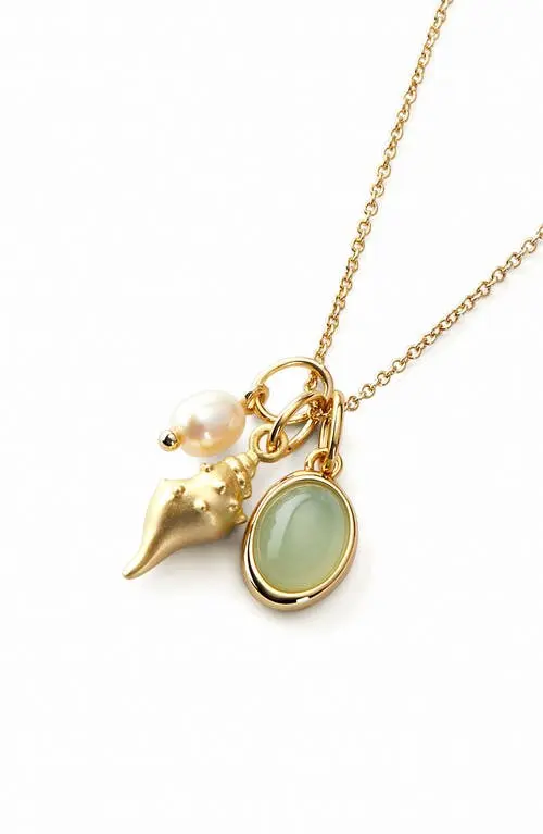 ANA LUISA Charm Necklace