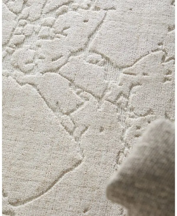 THOM FILICIA Aldrich T8019 Area Rug, 3'6 X 5'6