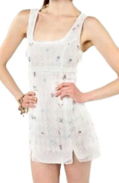 Anna Sui Embroidered Lacey Trellis Mini Dress