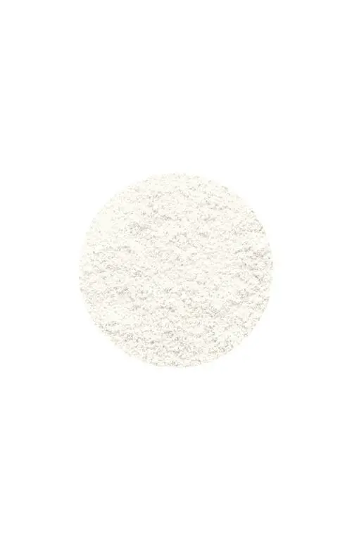 Anna Sui Brightening Loose Face Powder Refill - Translucent