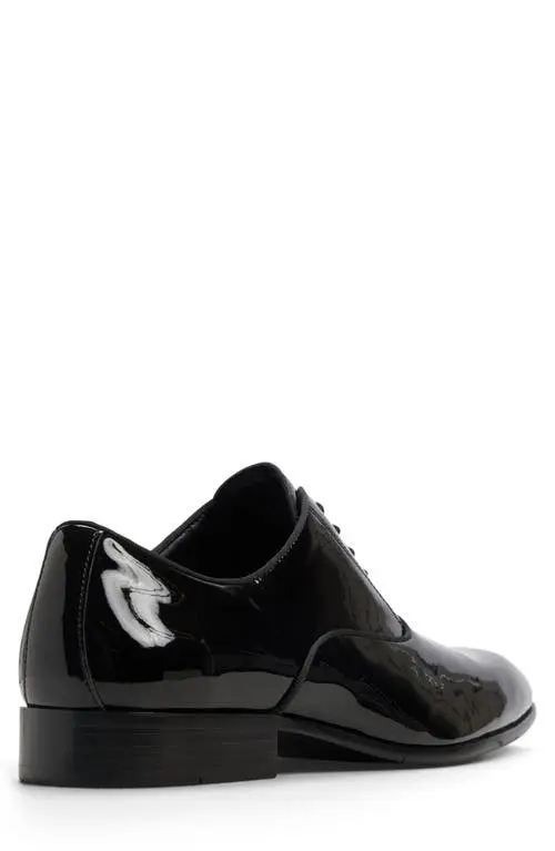 Aldo Rigo Oxford