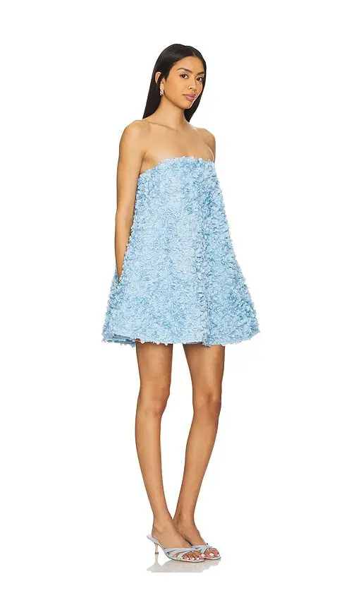 ELLIATT Kaia Trapeze Mini Dress With 3d Detailing