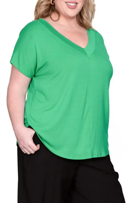 STANDARDS & PRACTICES V-neck Dolman Top