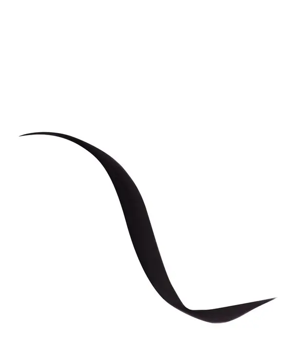 Dior Show Waterproof Liquid Liner - 096 Satin Black