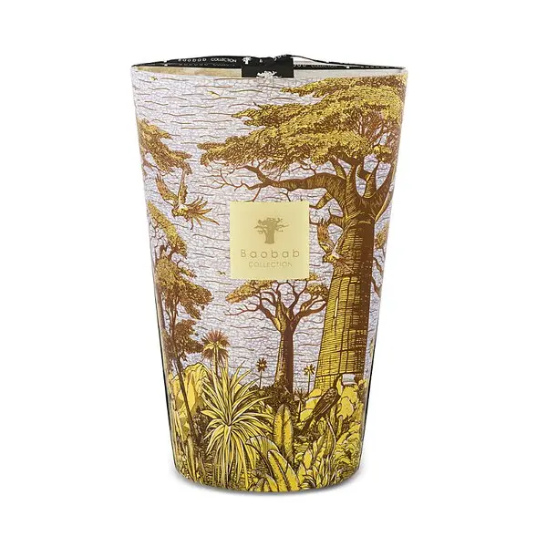 BAOBAB COLLECTION Max 35 Sacred Trees Cocody Candle - No Color