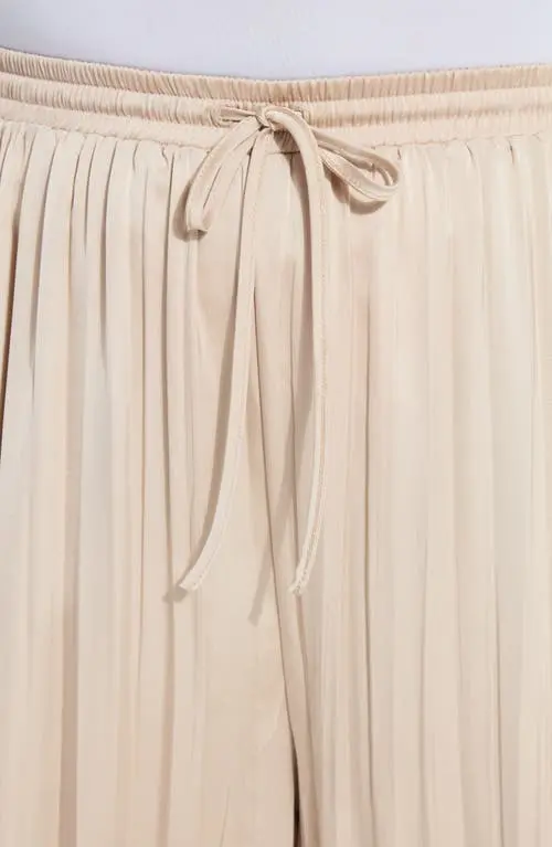 Lyssé Pleated Wide Leg Satin Pants