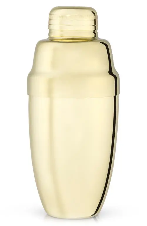 VISKI Heavyweight Cocktail Shaker - Gold