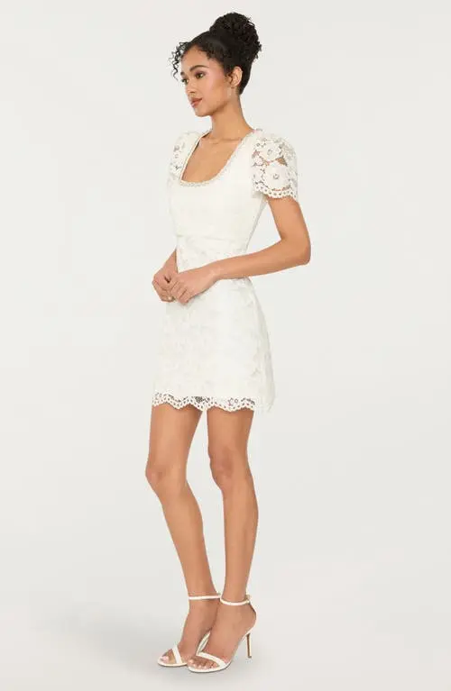 Likely Isa Lace Sheath Minidress