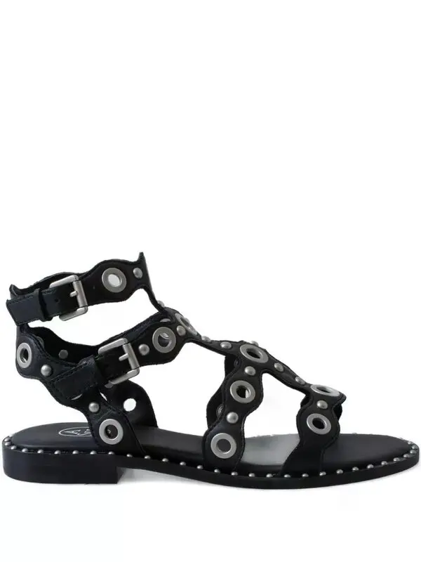 Ash Double-buckle Flat Sandals