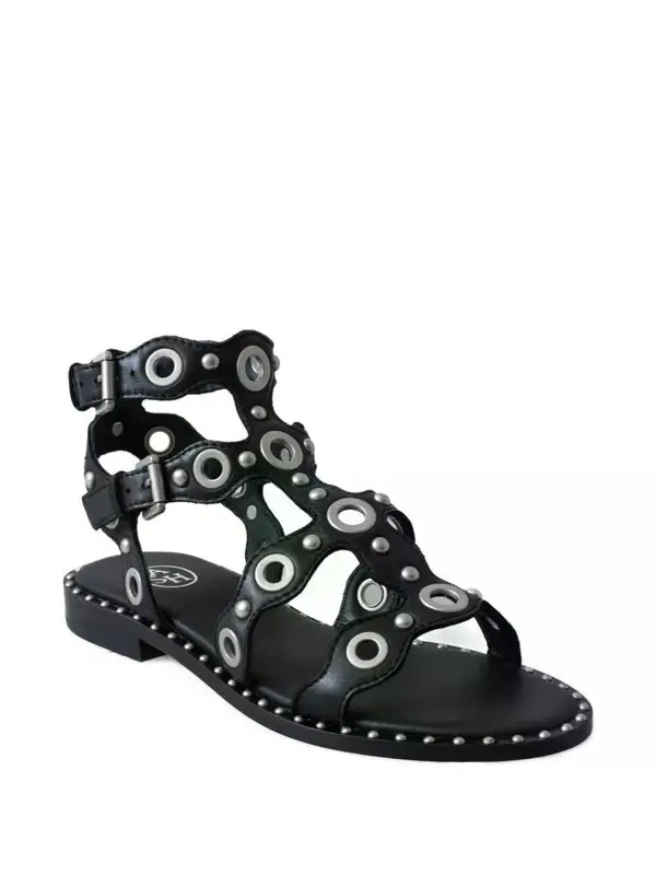 Ash Double-buckle Flat Sandals