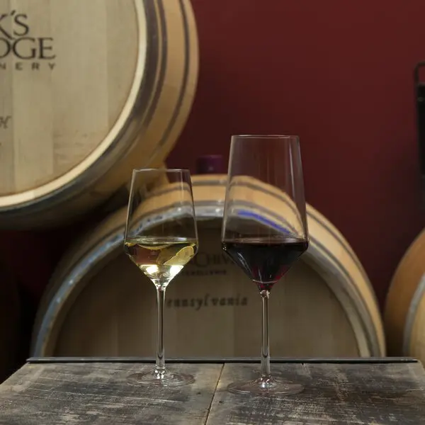 SCHOTT ZWIESEL Tritan Pure Bordeaux Glass, Set Of 2