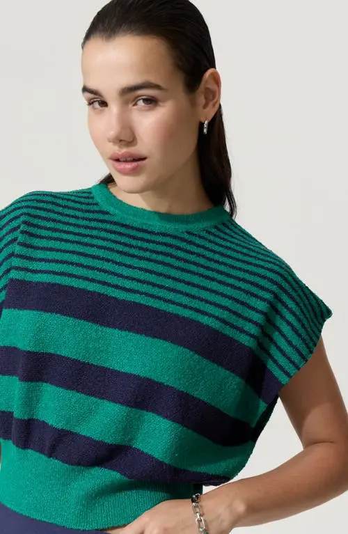 Deluc Crop Sweater Vest - Green Striped Blue