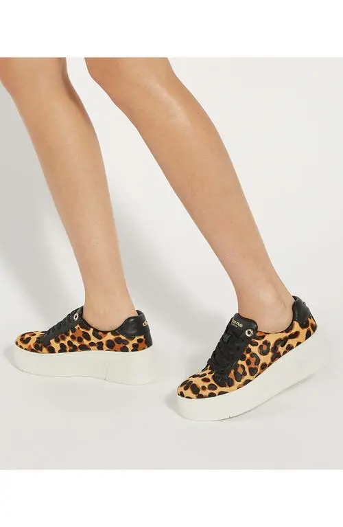 Dune London Episode Platform Sneakers - Leopard