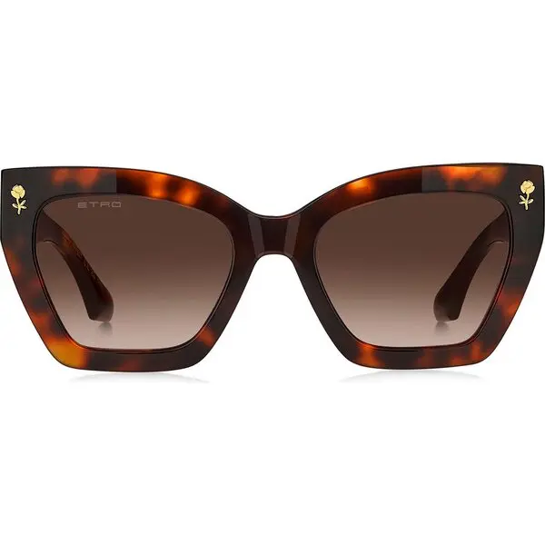 Etro 55mm Gradient Cat Eye Sunglasses - Havana/ Brown Sf