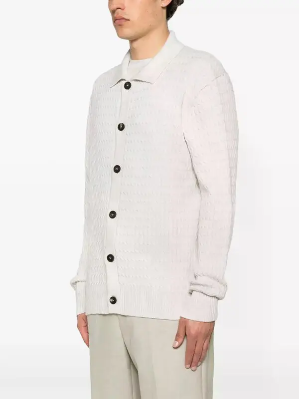 Tagliatore Virgin Wool Cardigan