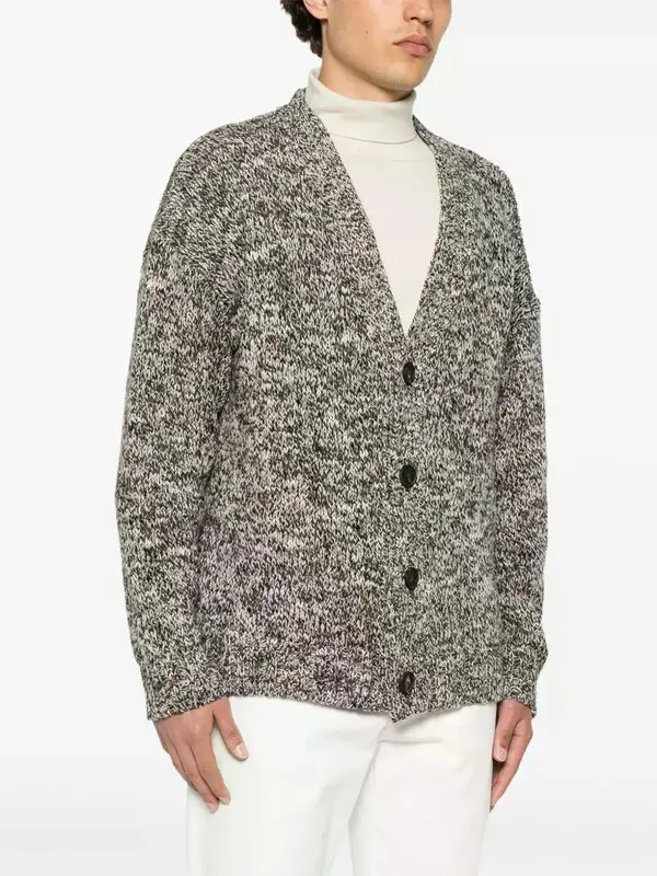 Tagliatore Wool-blend Cardigan
