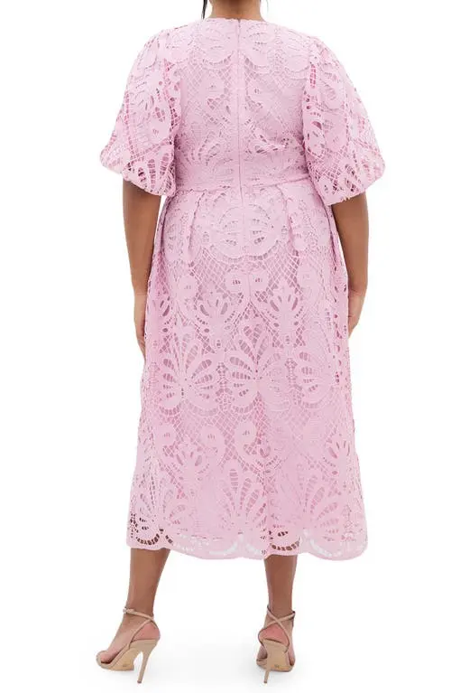 City Chic Kylee Lace Maxi Dress - Soft Rose