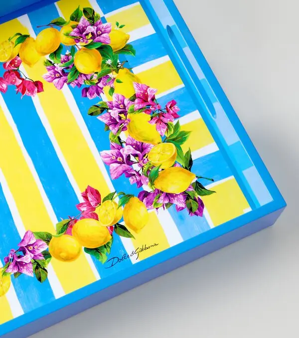 Dolce & Gabbana Striped Decorative Ray