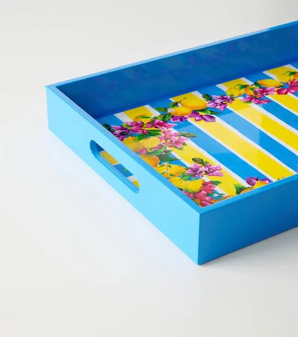 Dolce & Gabbana Striped Decorative Ray