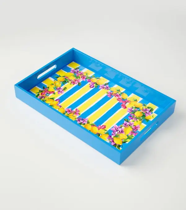 Dolce & Gabbana Striped Decorative Ray