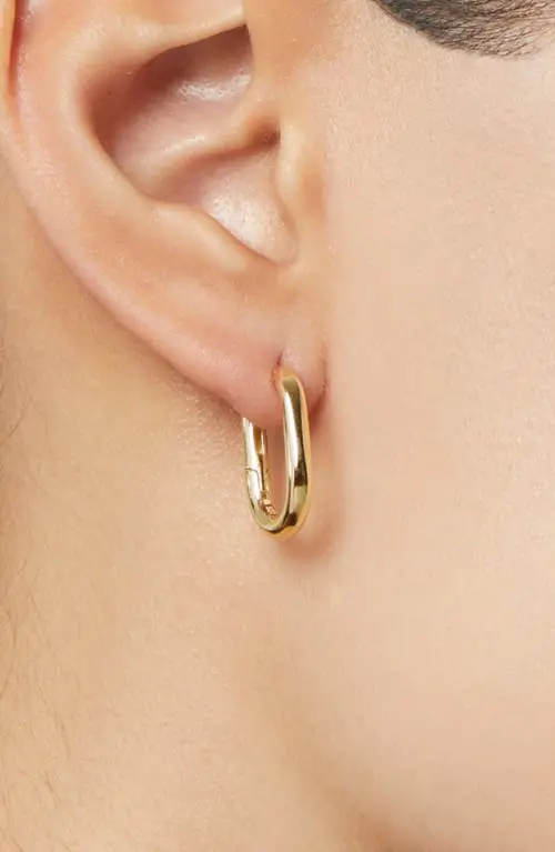 ANA LUISA Rox Oval Hoop Earrings - 925 Yg