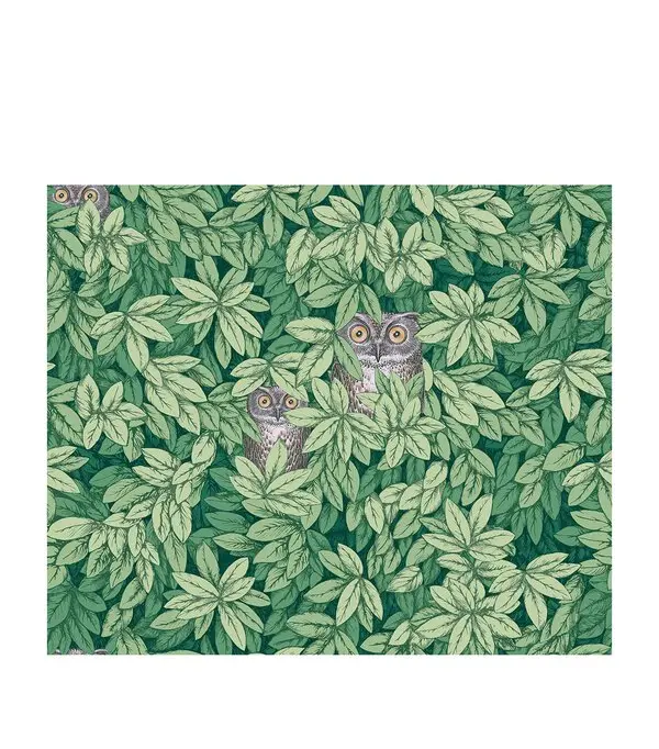 COLE & SON X Fornasetti Foglie E Civette Wallpaper Roll - Green