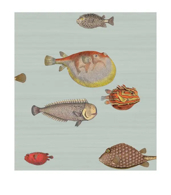 COLE & SON X Fornasetti Acquario Wallpaper Roll - Blue