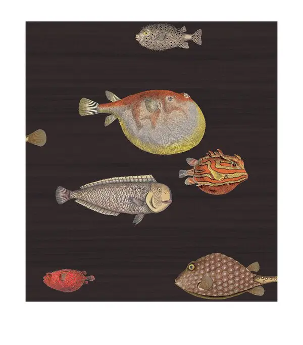 COLE & SON X Fornasetti Acquario Wallpaper Roll - Grey