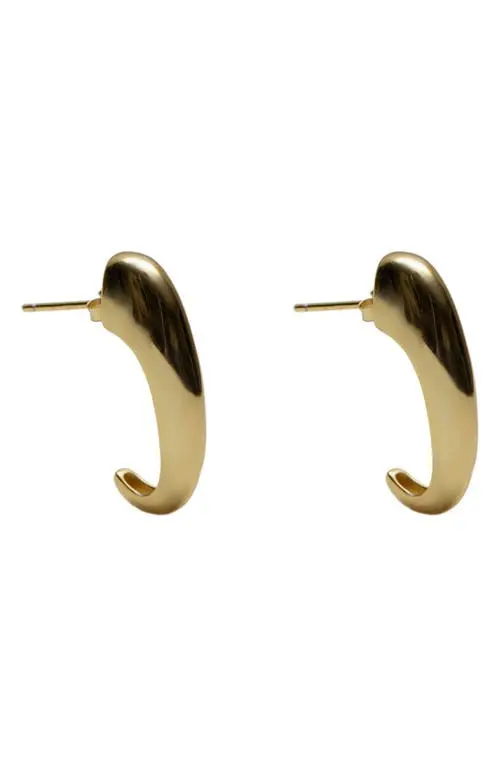 Argento Vivo Hoop Earrings - Gold
