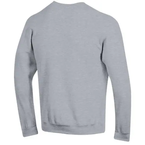 Champion Georgia Bulldogs Basic Arch Fleece Pullover Sweatshirt