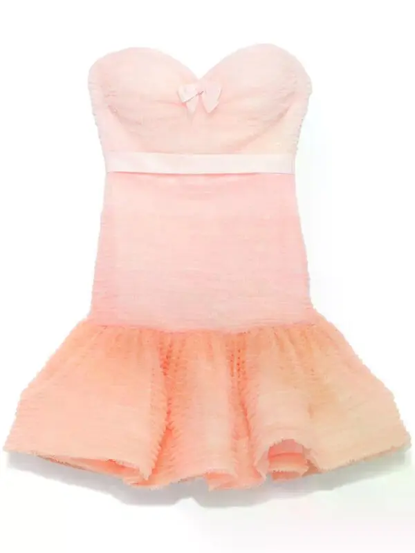 Viktor & Rolf Degradé Tulle Mini Dress