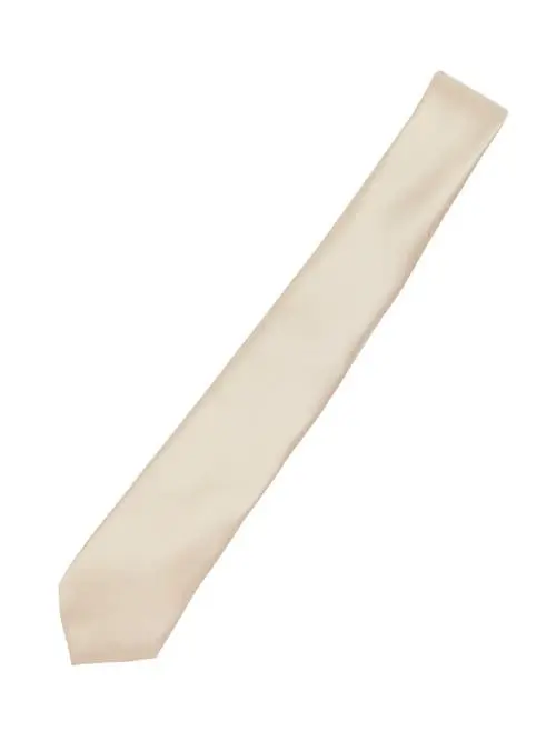 BROOKLYN BRIGADE Satin Standard Neck Tie - Champagne