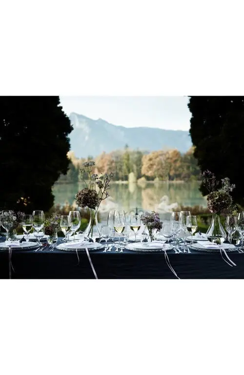 RIEDEL Vinum Cabernet/merlot Wine Glasses