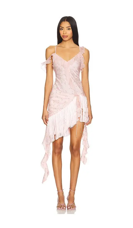 For Love & Lemons Raspberry Rose Mini Dress