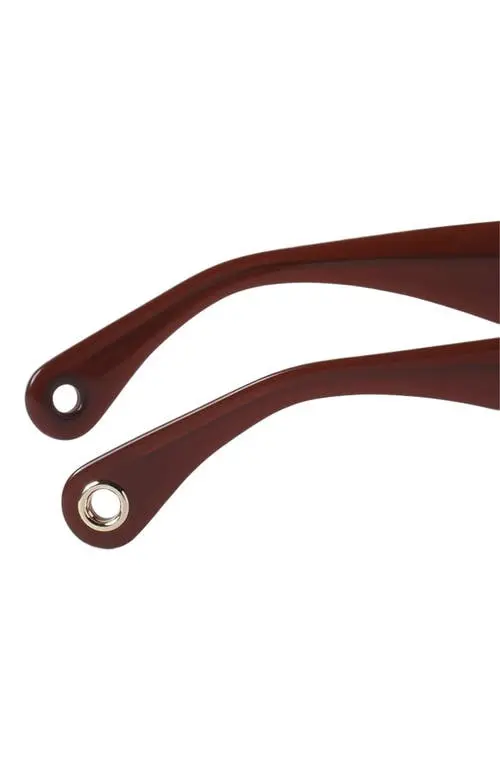 LANVIN Logo Cat Eye Sunglasses - Brown-cherry