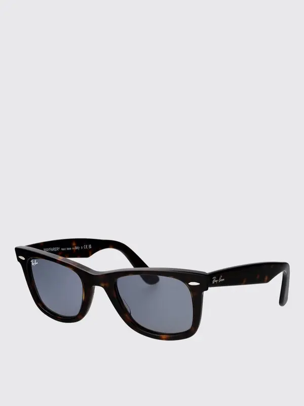 Ray-ban Sunglasses - Brown