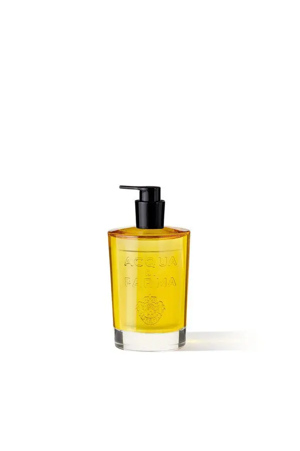 ACQUA DI PARMA Buongiorno Hand Soap - Aqua