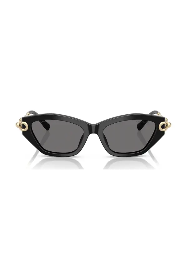 TIFFANY SUNGLASS HUT Cat Eye Sunglasses