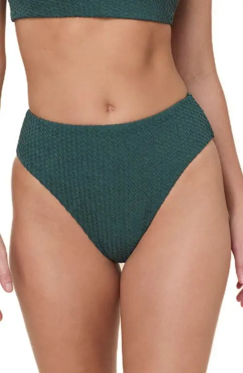 ANDIE The '90s High Waist Bikini Bottoms - Seaweed