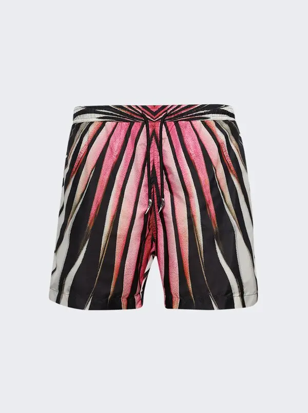 Roberto Cavalli Printed Shorts - A