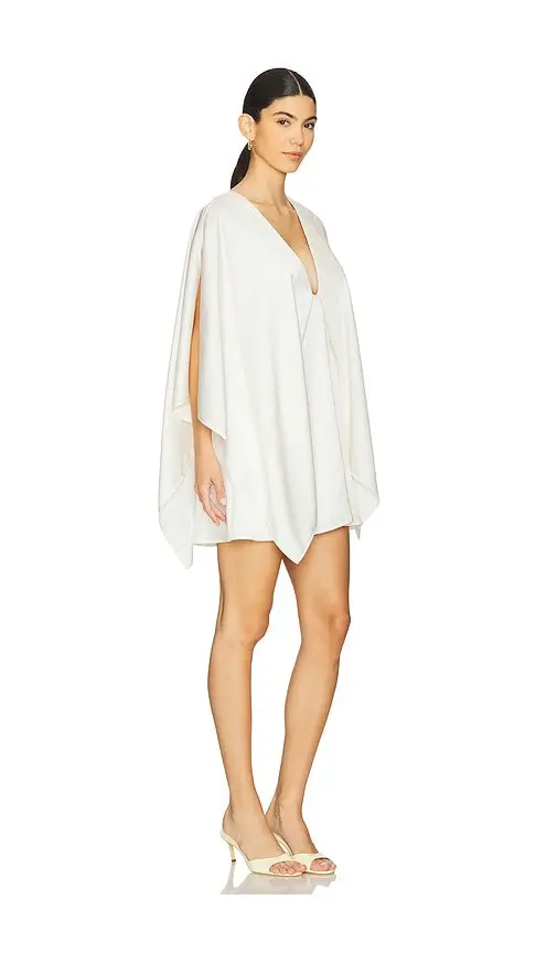 BAOBAB Pietro Mini Dress