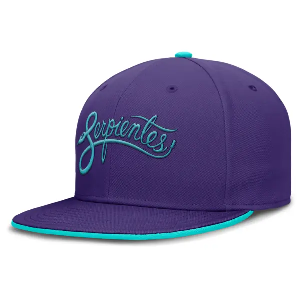 Nike Arizona Diamondbacks City Connect True Dri-fit Mlb Fitted Hat - Purple