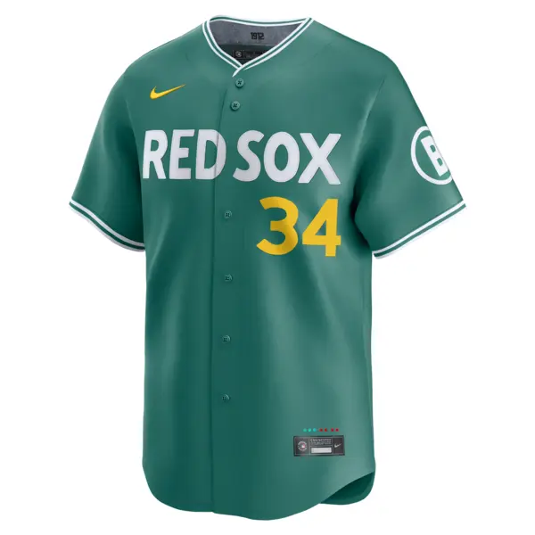 Nike David Ortiz Boston Red Sox City Connect Dri-fit Adv Mlb Limited Edition Jersey - Green