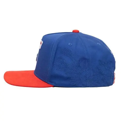 Mitchell & Ness Philadelphia 76ers May Flowers Adjustable Cap