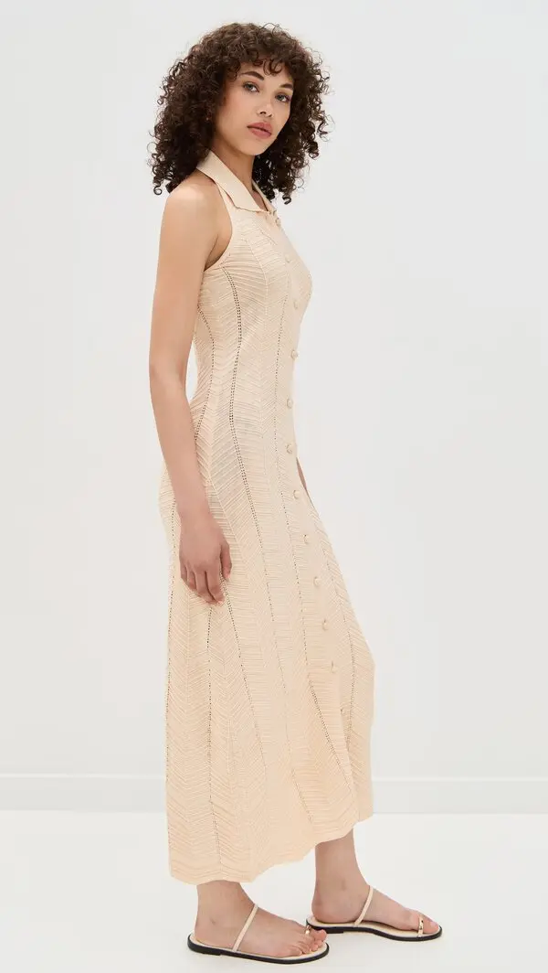 Devon Windsor Val Midi Dress