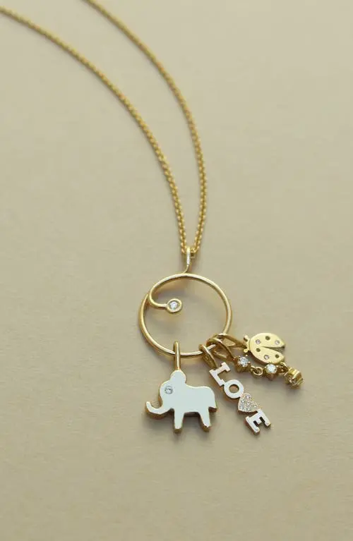 Zoe Chicco Ladybug Charm