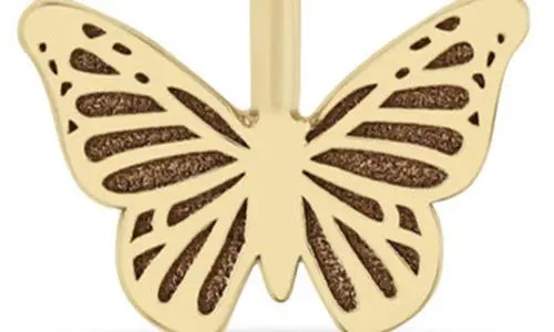 Zoe Chicco 14k Gold Butterfly Charm