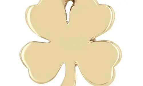 Zoe Chicco 14k Gold Clover Charm